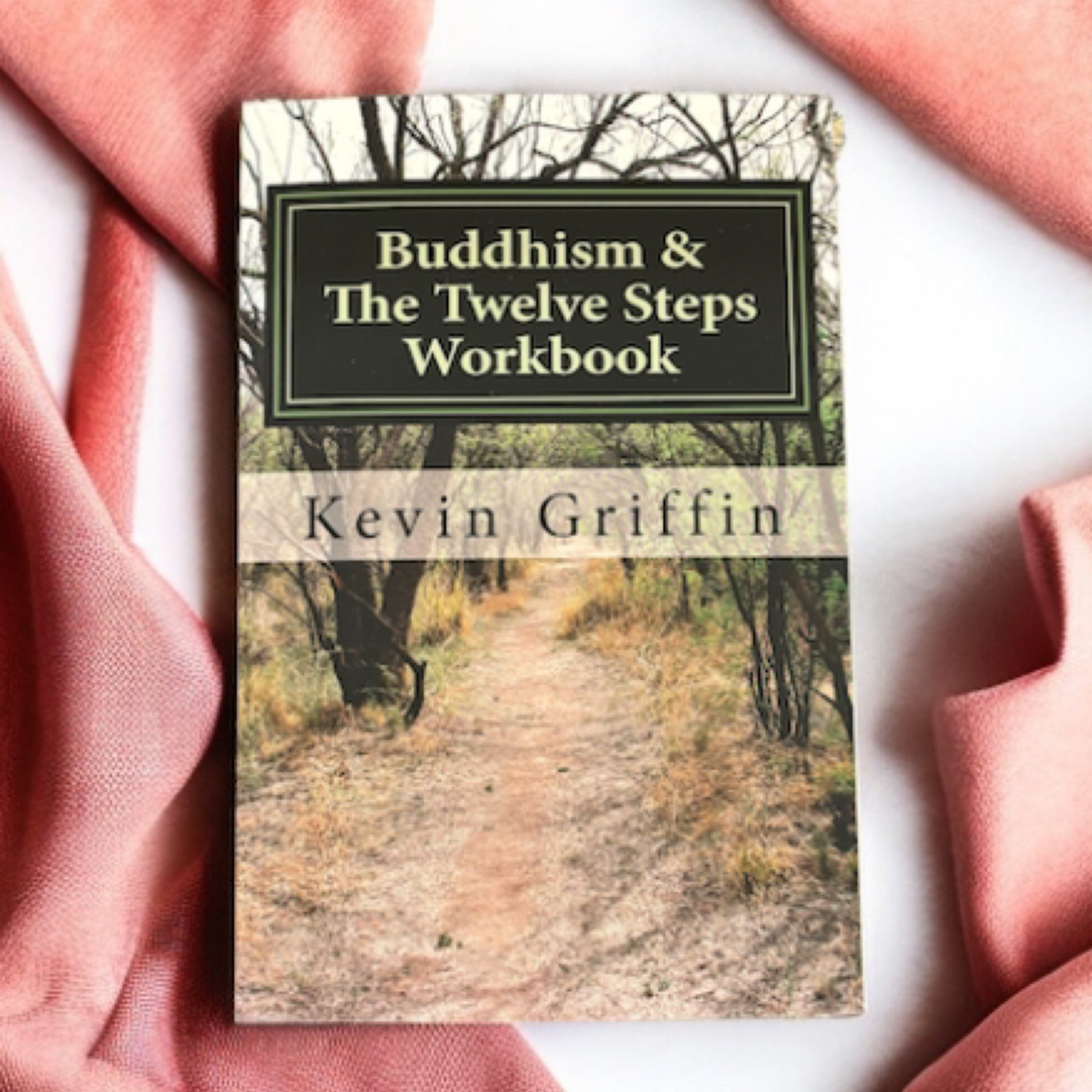 Buddhism & The Twelve Steps Workbook - Kevin Griffin | Buddha For You ...